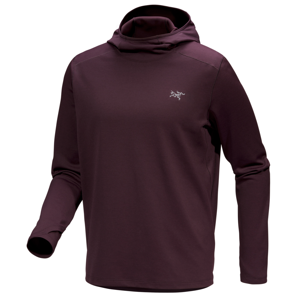 Arc'teryx Cormac Heavyweight Hoody - Hoodie Herren | Versandkostenfrei ...